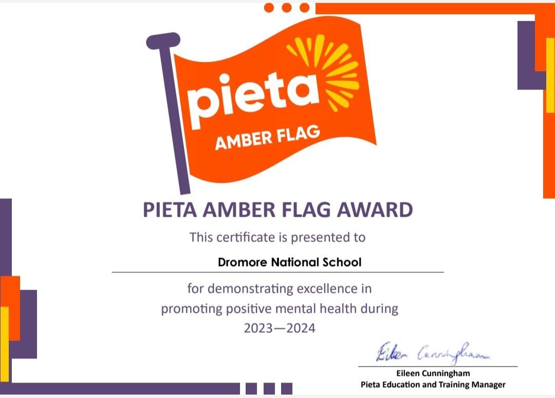 Amber Flag Award 2024 | Dromore National School